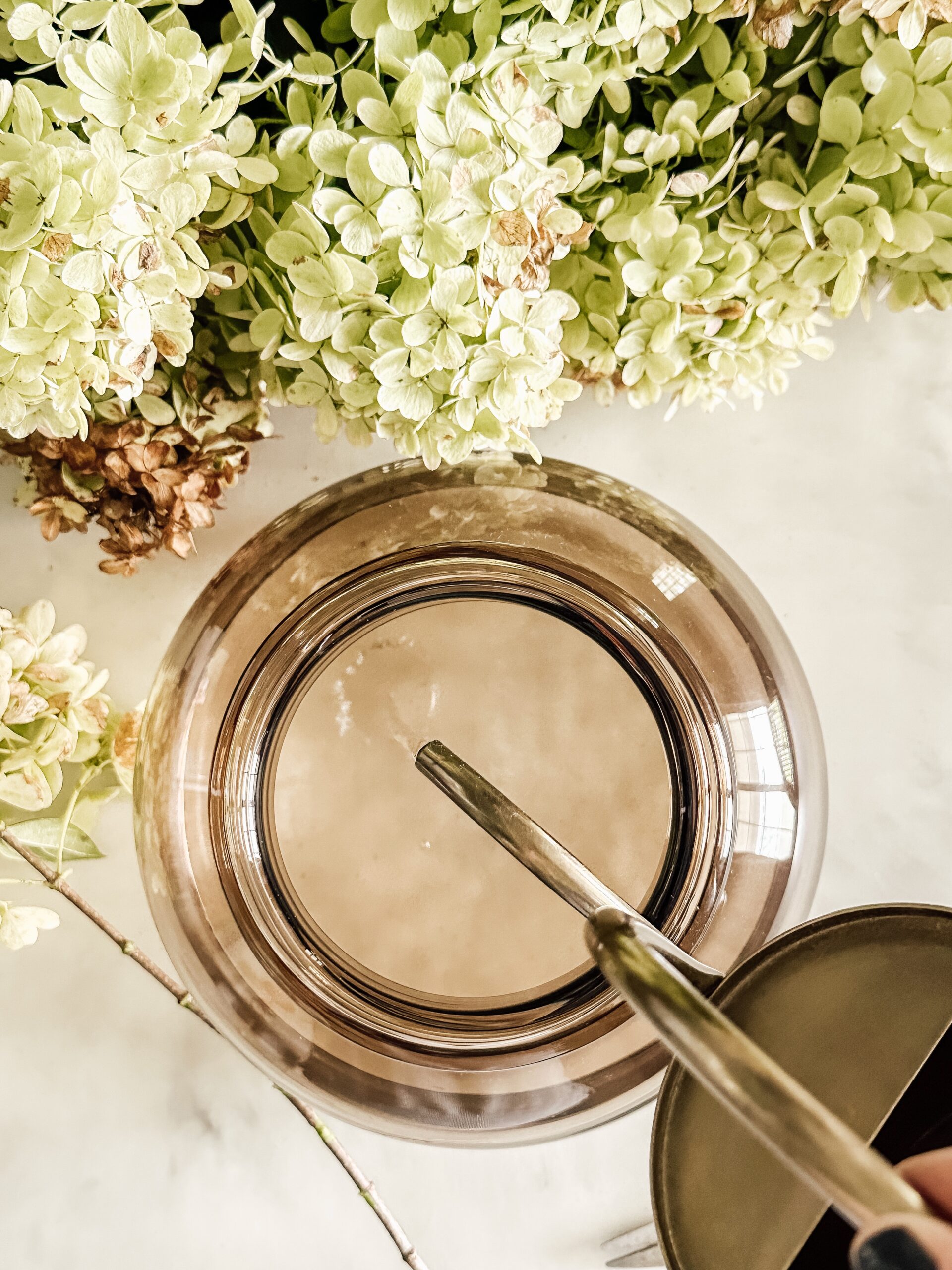 How to Dry Limelight Hydrangeas: A Step-by-Step Guide