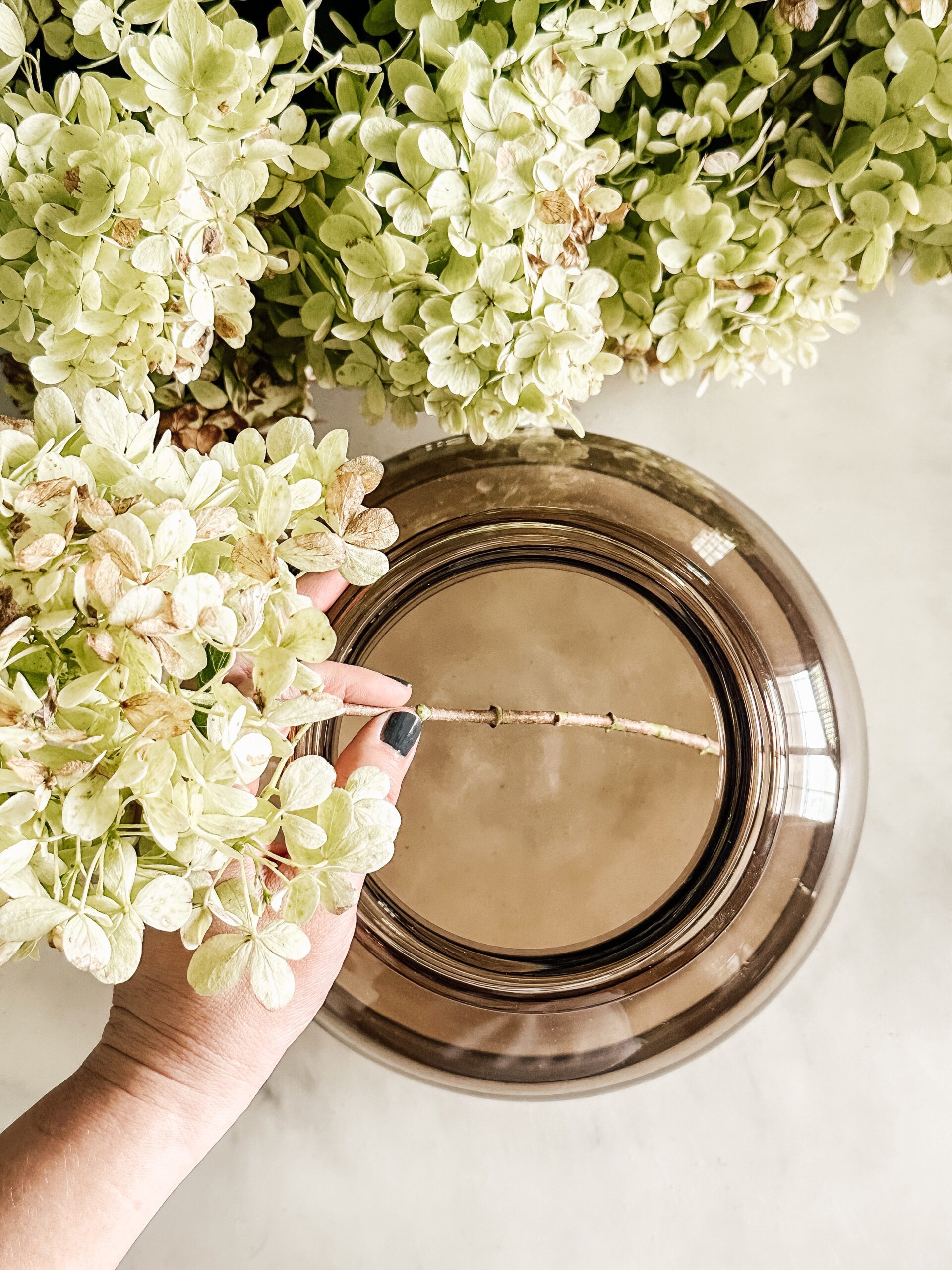 How to Dry Limelight Hydrangeas: A Step-by-Step Guide