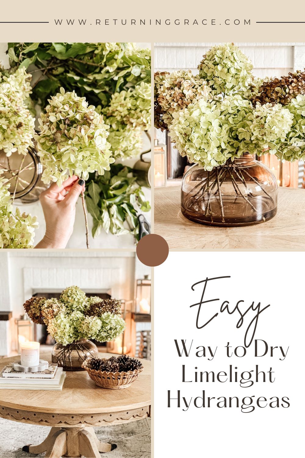How to Dry Limelight Hydrangeas: A Step-by-Step Guide
