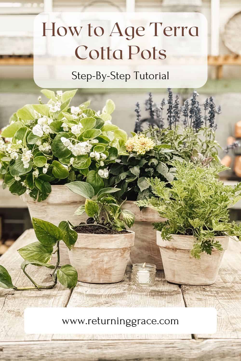 DIY Aged Terra Cotta Pots: A Simple Way to Add Timeless Charm to Your ...