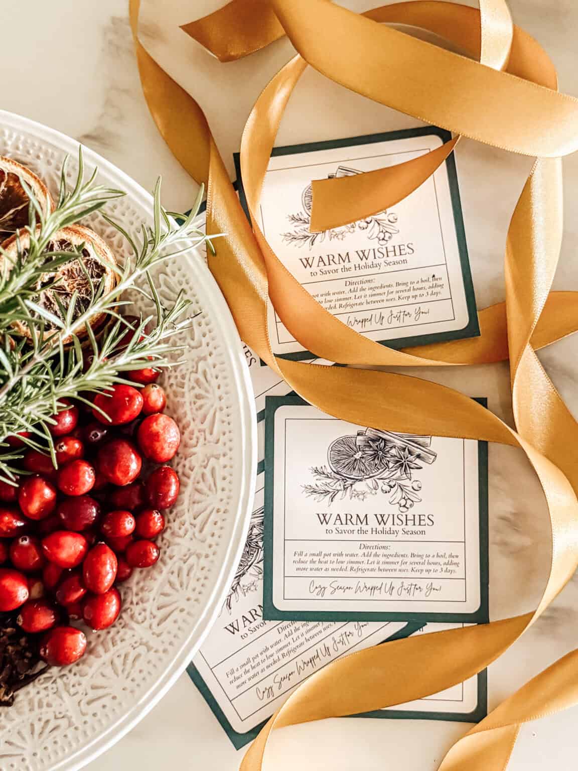 Christmas Simmer Pot Recipe and Free Printable Gift Tag
